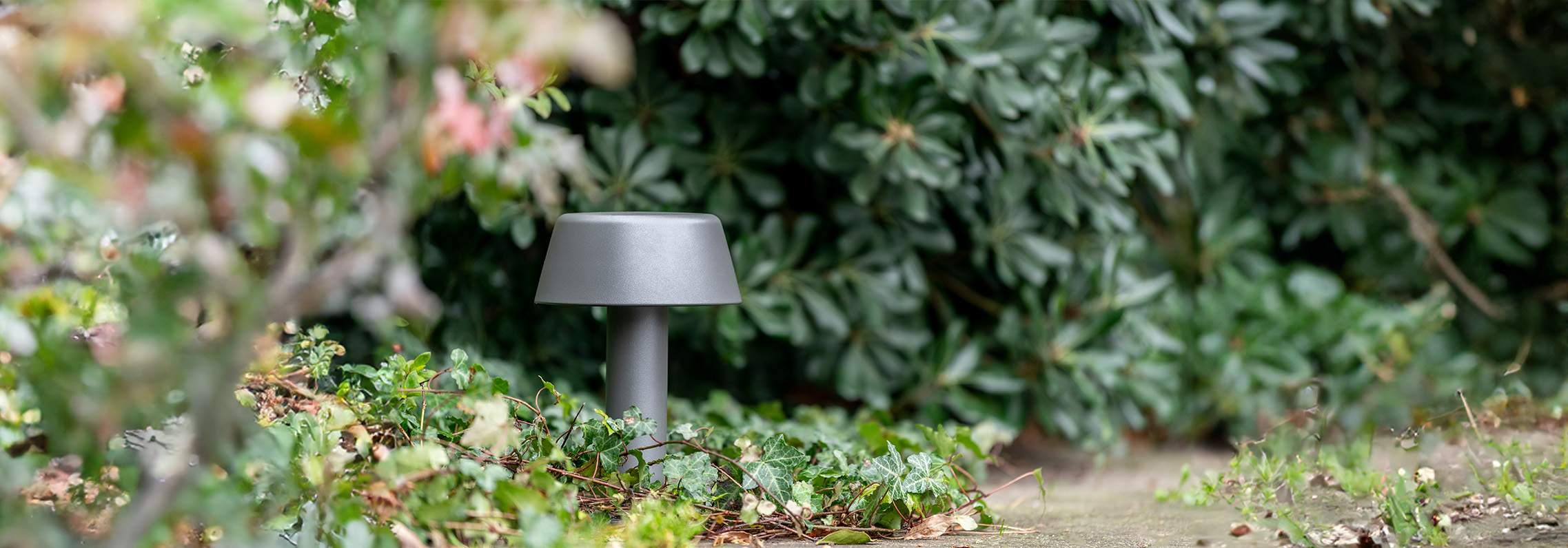 Zaneen | Exclusive North American distributor of European lighting products