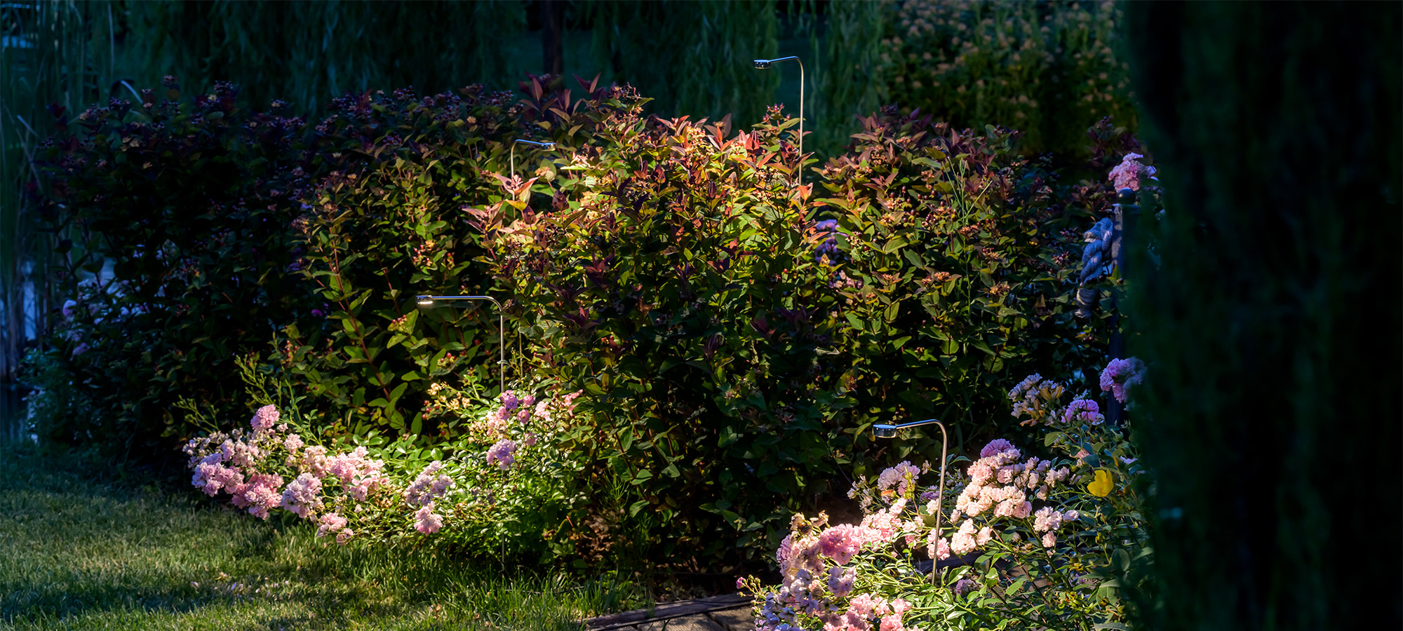 Dot by Platek | Zaneen Exterior