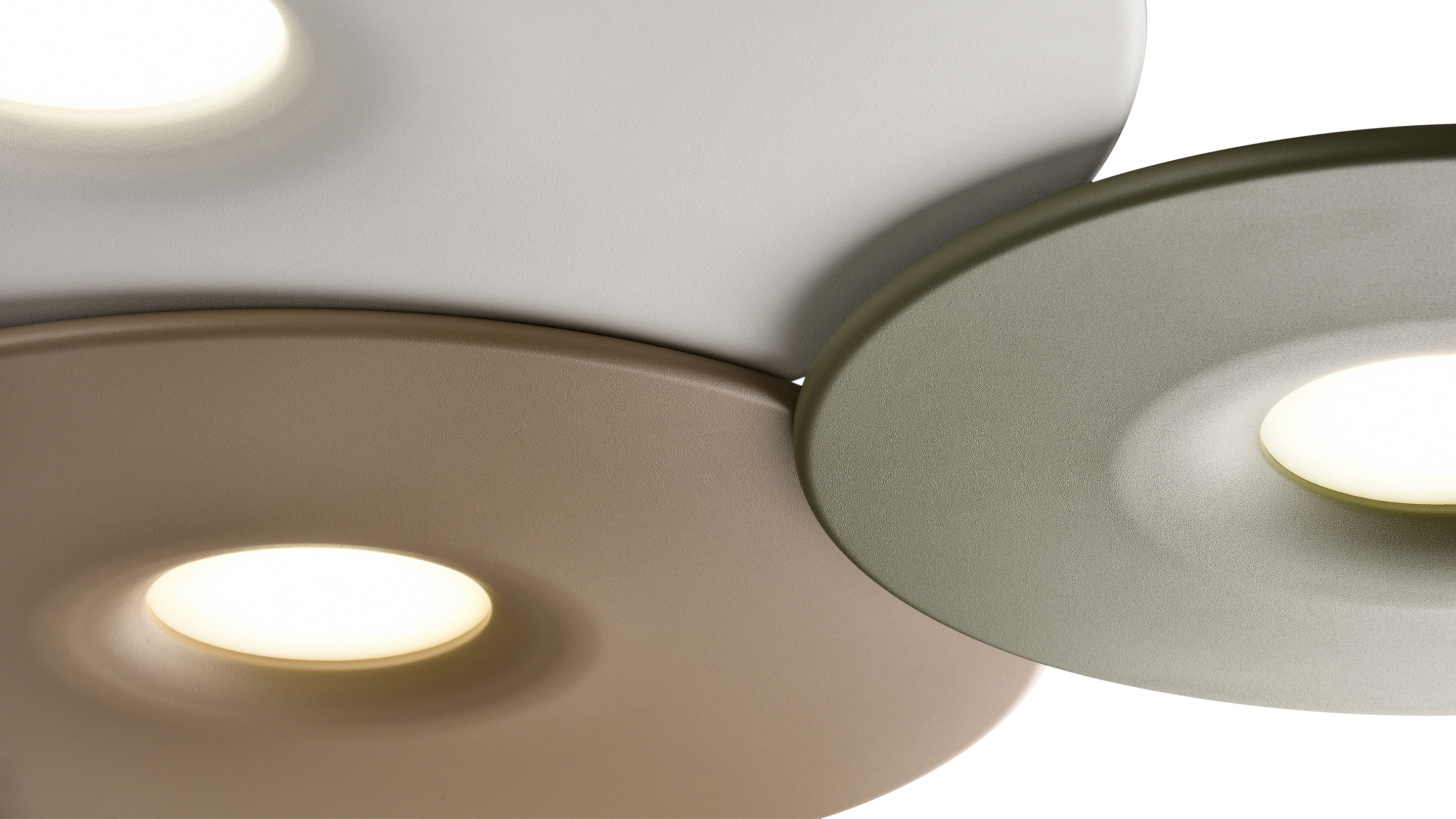 Flippo by Ole! | Zaneen Design