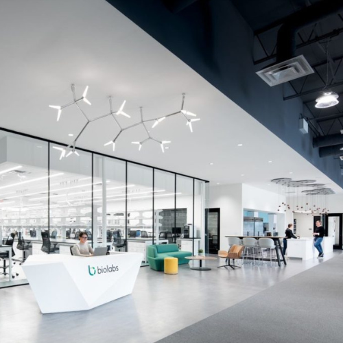 Snooker - Smart Pendant or Track Light by Prolicht | Zaneen Architectural